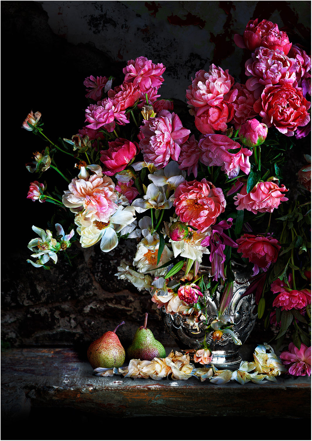 French Pears Fine Art Print – Paula Petherick A FLORAL DISTINCTION